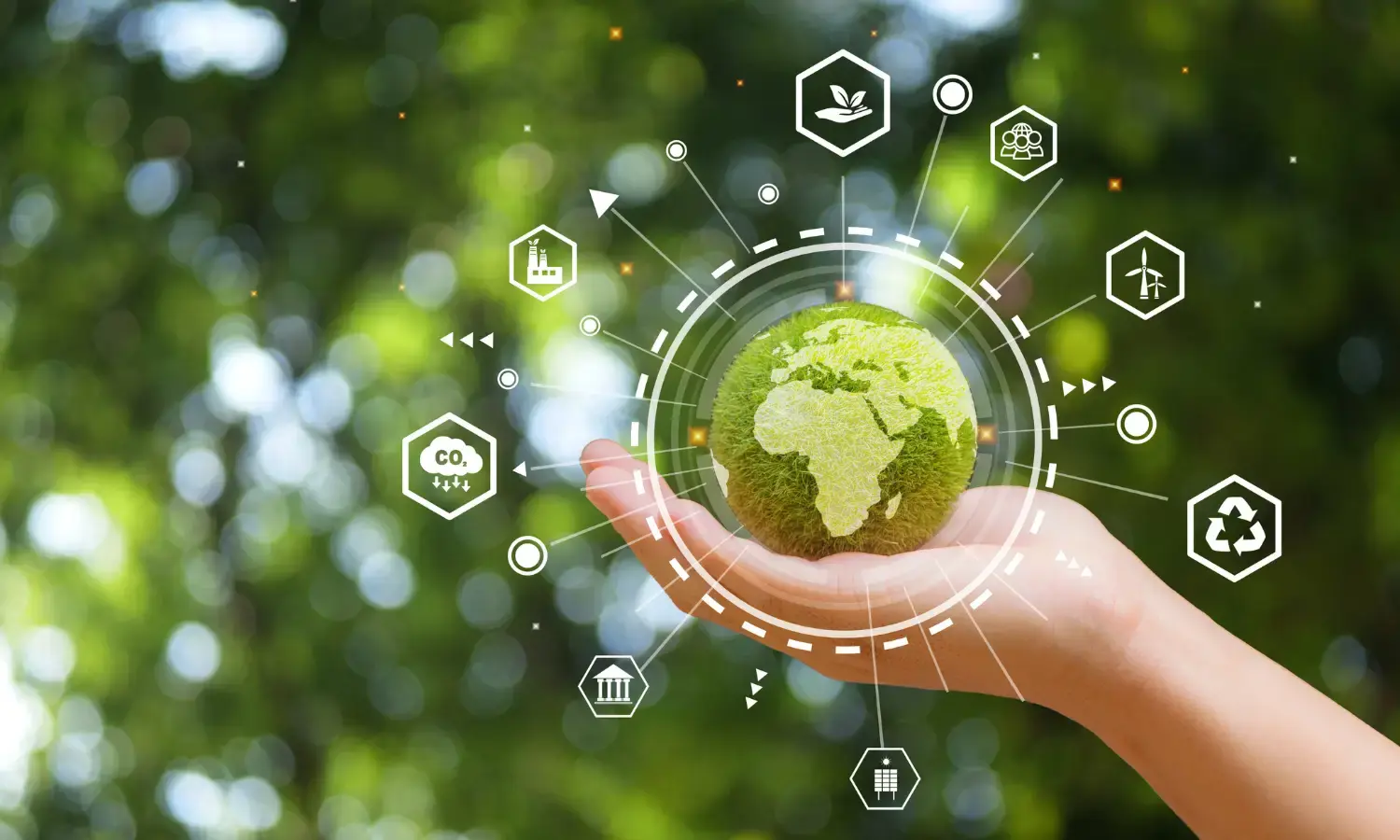 Transformationsplan für Dekarbonisierung | Förderung und Beratung